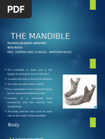 Development of Mandible | PDF | Human Anatomy | Anatomy