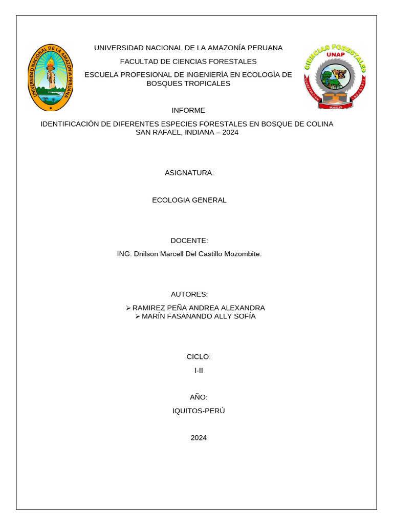 Informe Provincia de Mariscal Ramón Castilla | PDF | Perú