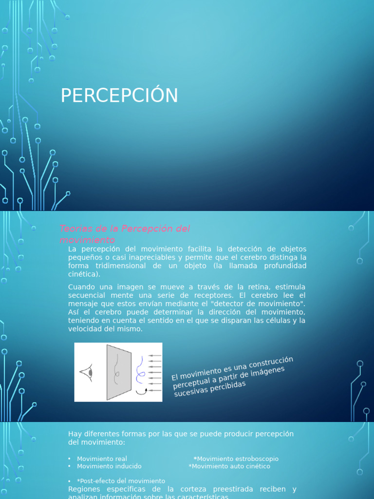 Percepción del Movimiento y Estímulos Sensitivos | PDF | Escuchando | Color