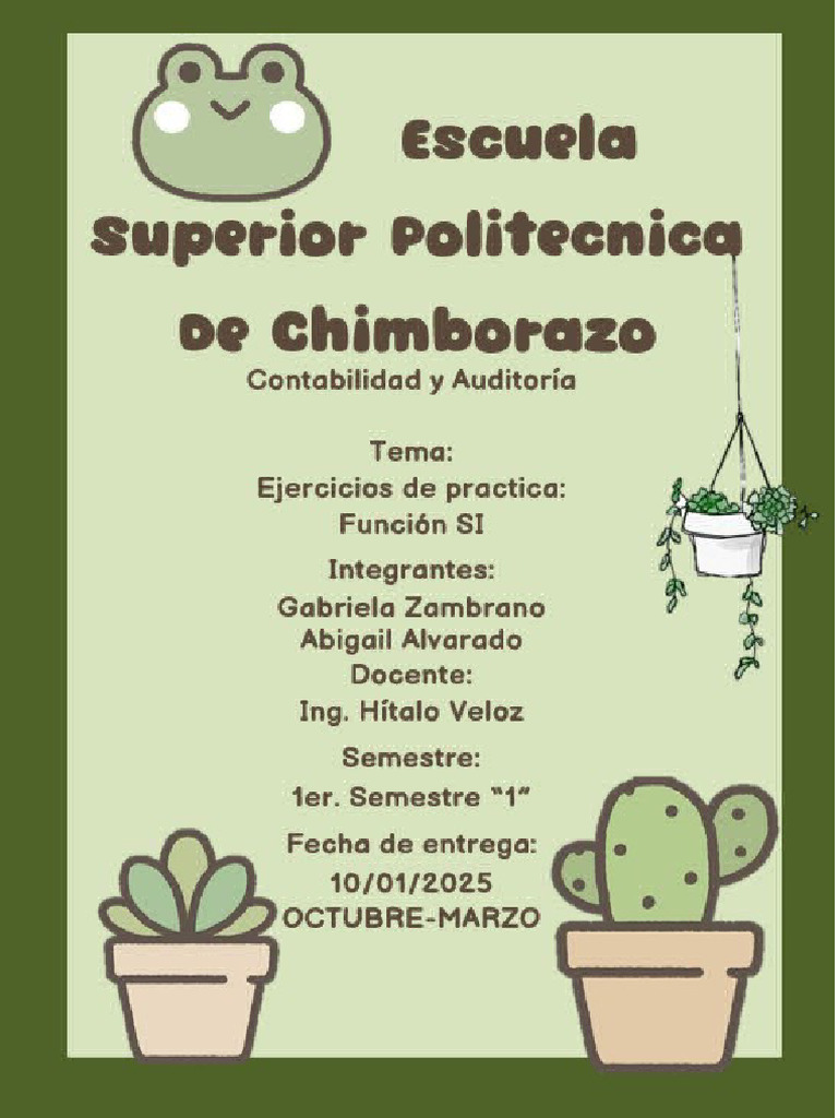 Ejercicios de Condicionales en Programación | PDF | Programación de computadoras | Lenguaje de ...