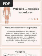 Cíngulo Do Membro Superior | PDF | Membros (anatomia) | Anatomia humana