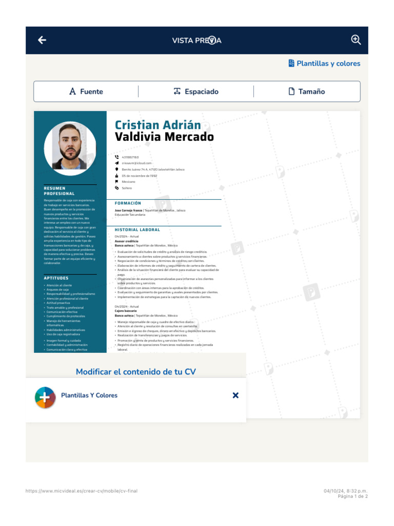 Finalizar CV - Mi CV Ideal | PDF | Bancos | Dinero