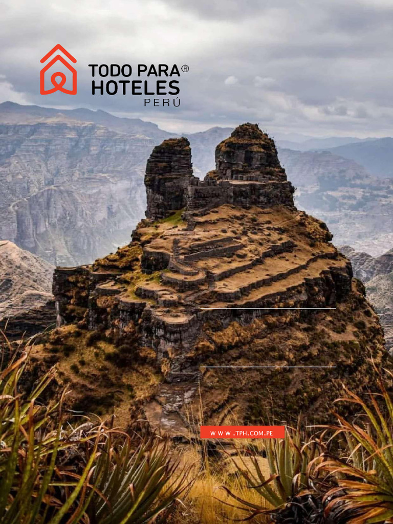 Nuevo Catálogo TPH 2024 Preedicion - PS | PDF | Champú | Lecho