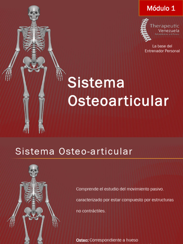 Fundamentos del Sistema Osteoarticular | PDF | Articulación | Hueso