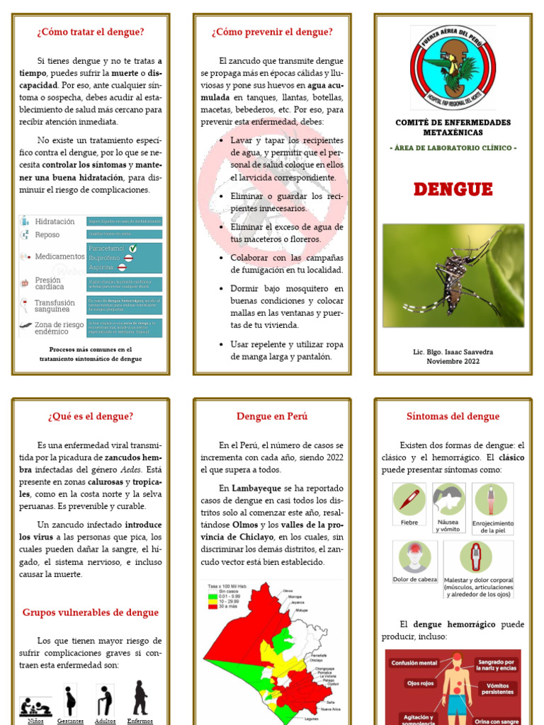 Prevención y Tratamiento del Dengue | PDF | Salud pública | Ciencias de ...