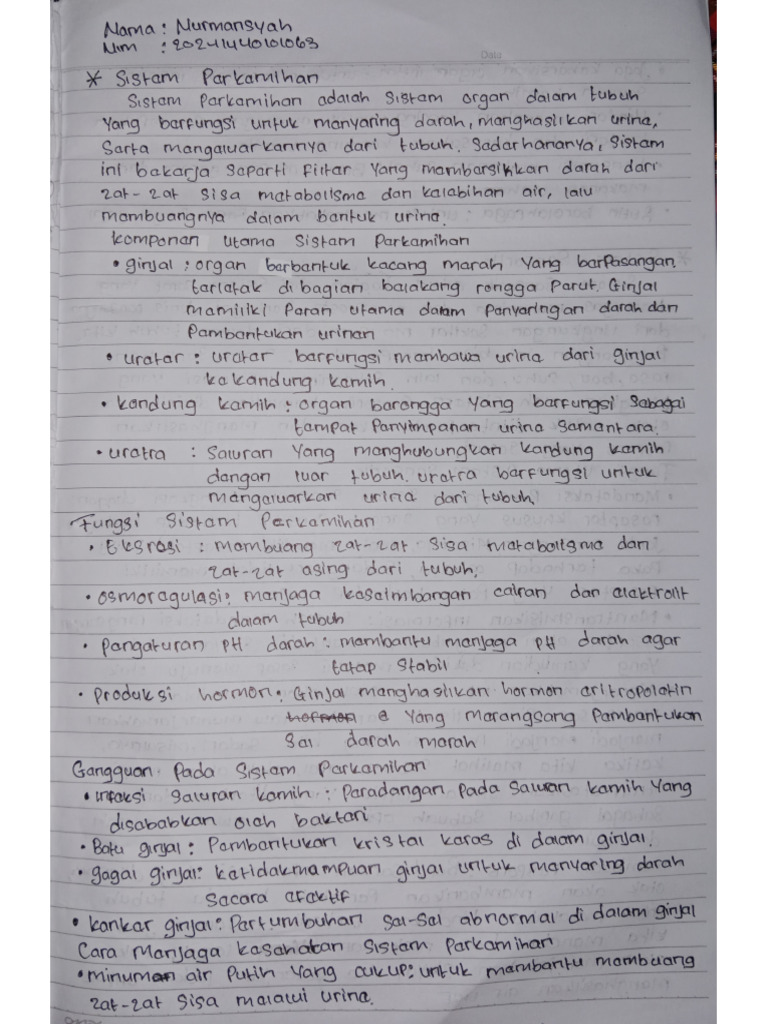 Sistem Perkemihan-Nurmansyah | PDF