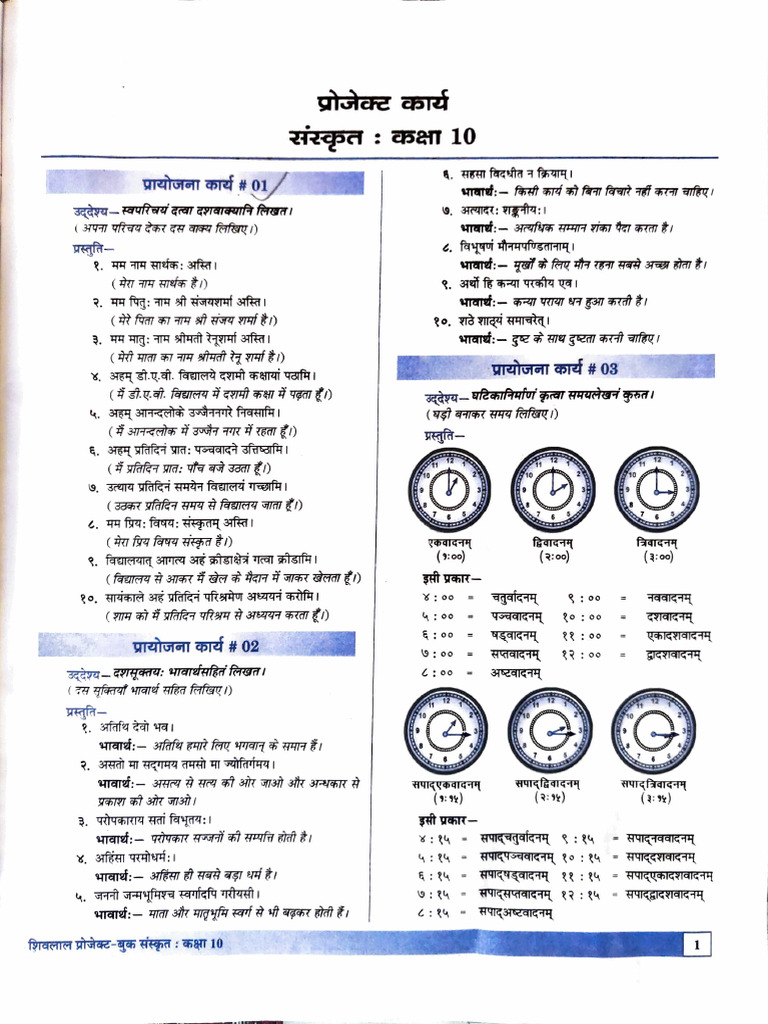 Class 10th Project Work | PDF