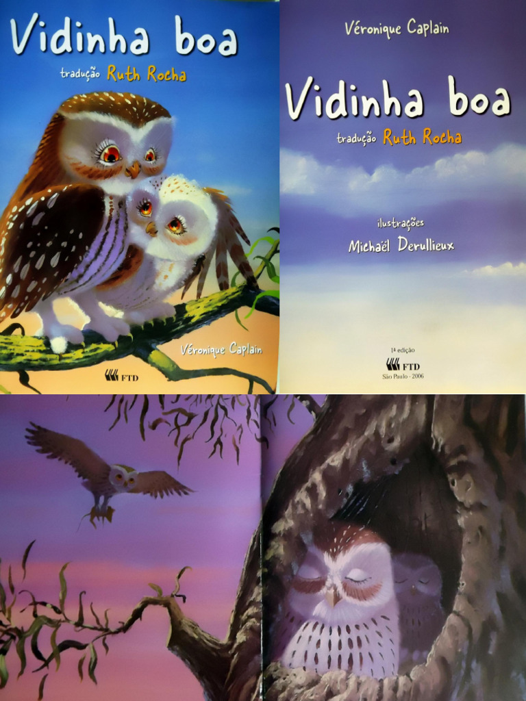 Vidinha Boa | PDF