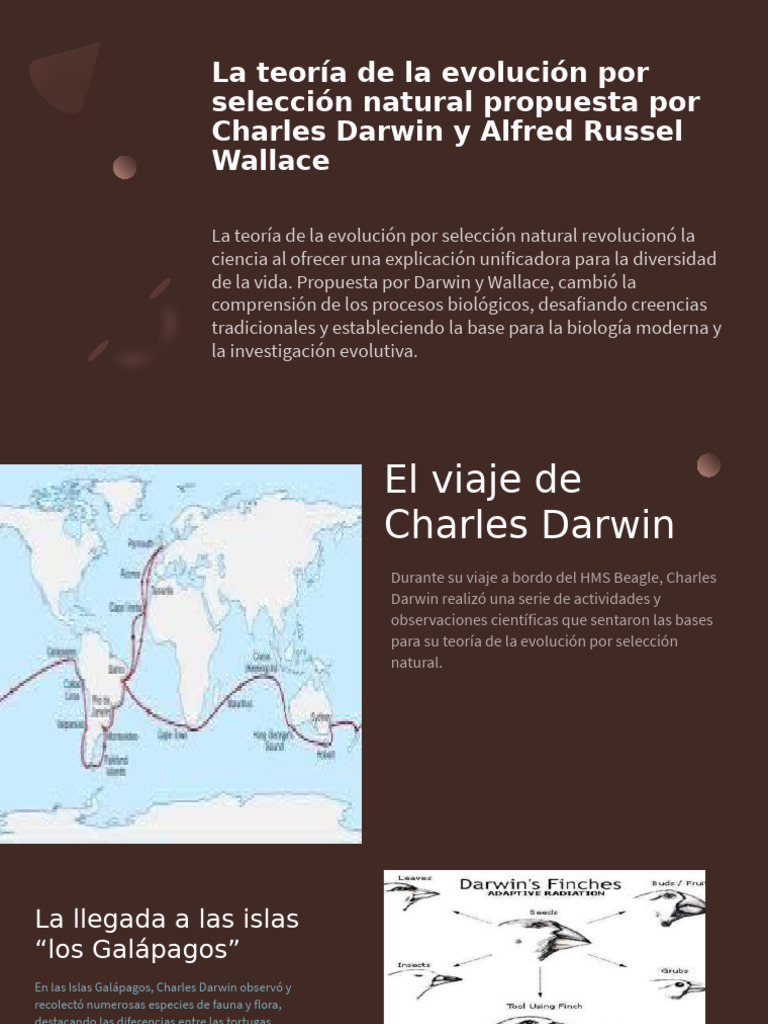 Presentación de Darwin y Wallace | PDF | Charles Darwin | Evolución