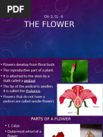 Mathematics in Garden Design | PDF | Fractal | Pattern