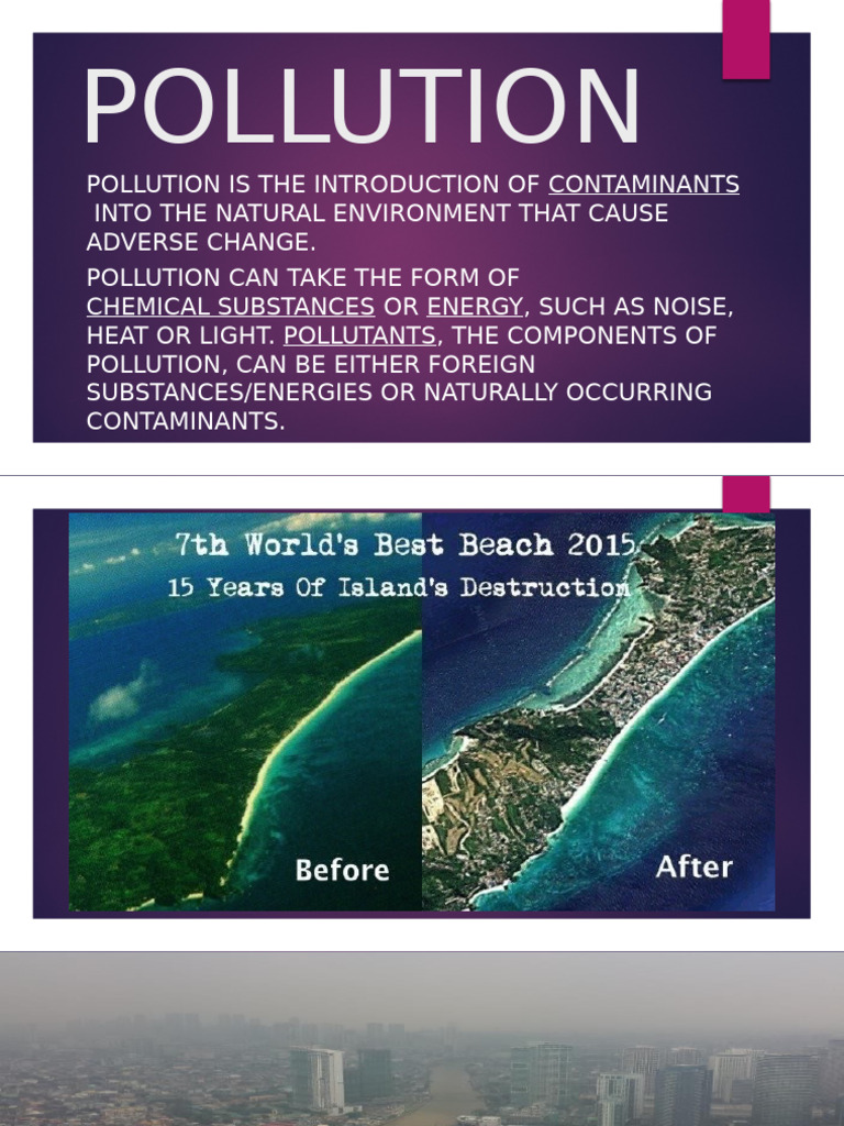 Pollution Power Point 3rd Quarter 1 | PDF