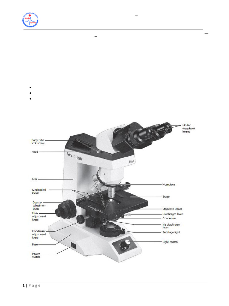 Lab 1B-Lab 3 Manual (Update Sep 2024) | PDF | Staining | Gram Positive ...