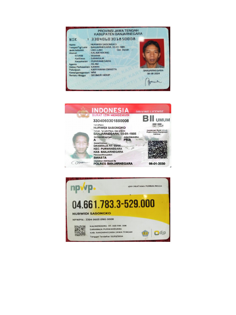 KTP SIM NPWP Widi | PDF