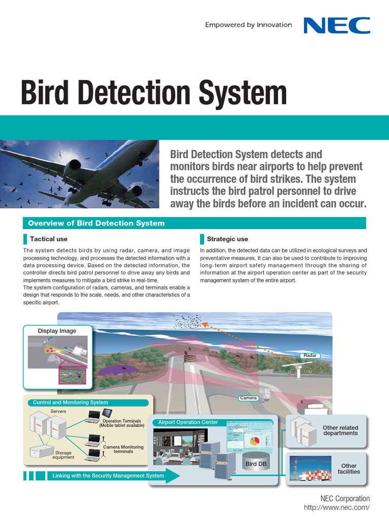 bird_detection_system | PDF | Radar | Airport