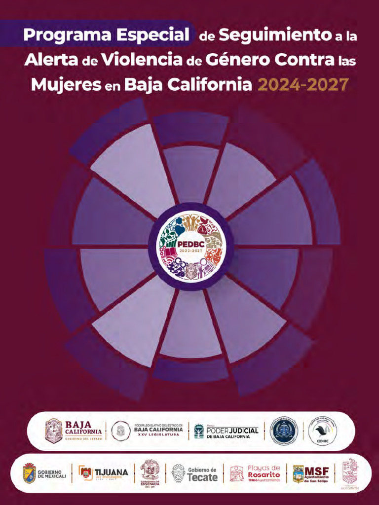 Programa Especial - Avgm | PDF | La violencia contra las mujeres ...