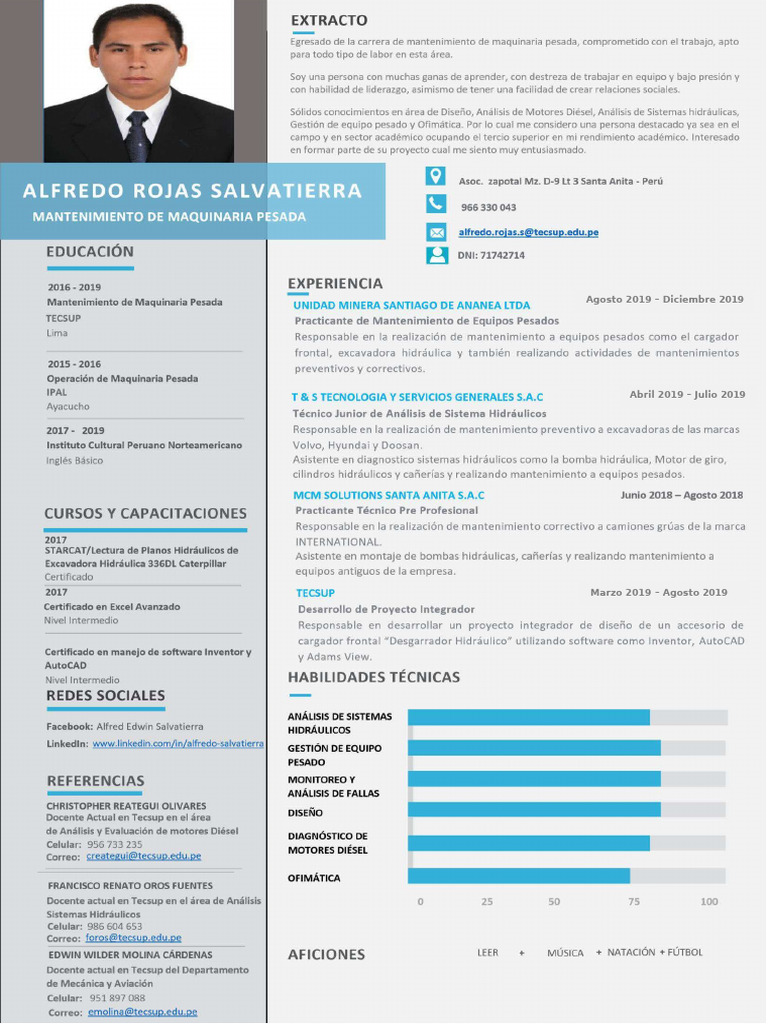 CV Alfredo Rojas 2020 | PDF