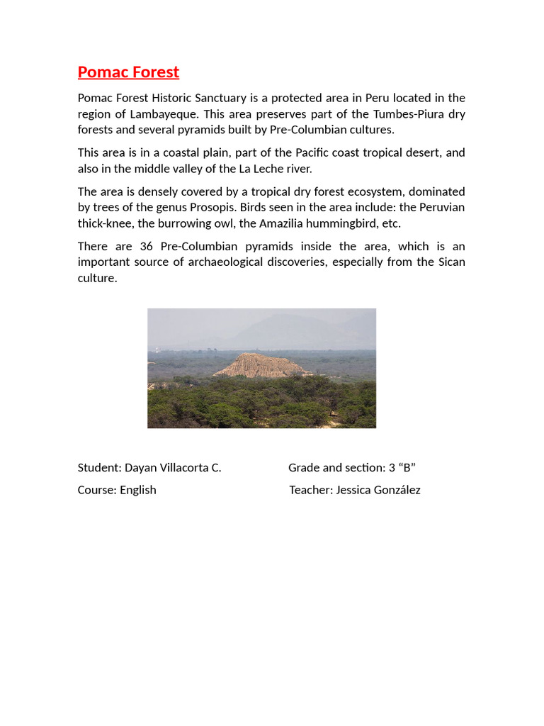 Pomac Forest: Peru's Historic Sanctuary | PDF