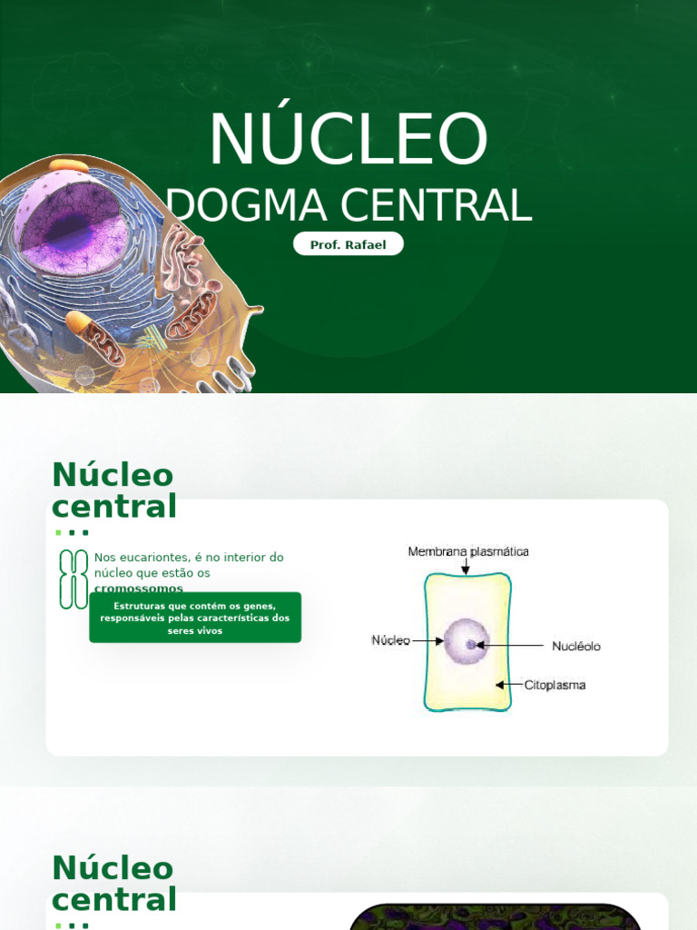 Estrutura e Funções do Núcleo Celular | PDF | DNA | RNA