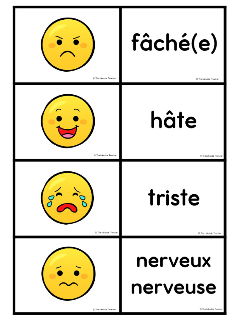 VOCABULAIRE Les Emotions | PDF