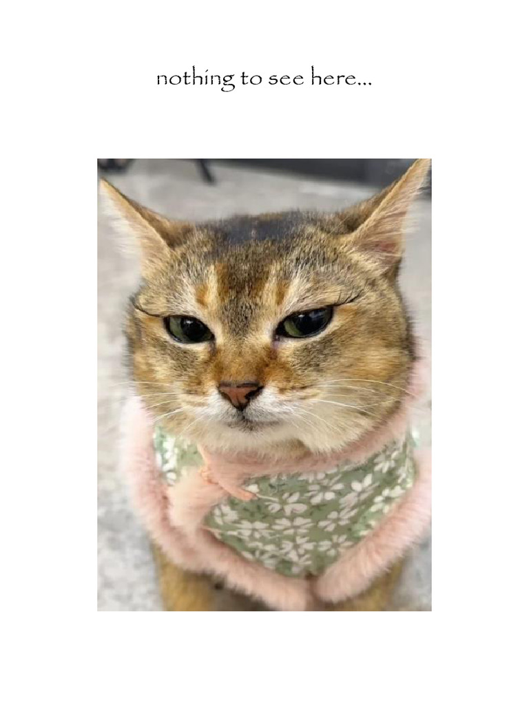 silly_document | PDF