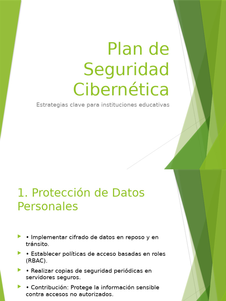 Plan Seguridad Cibernetica | PDF
