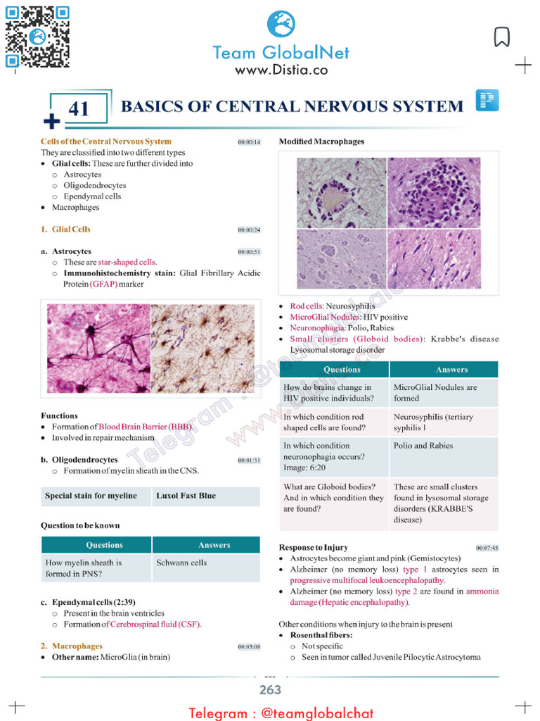 14 CNS | PDF