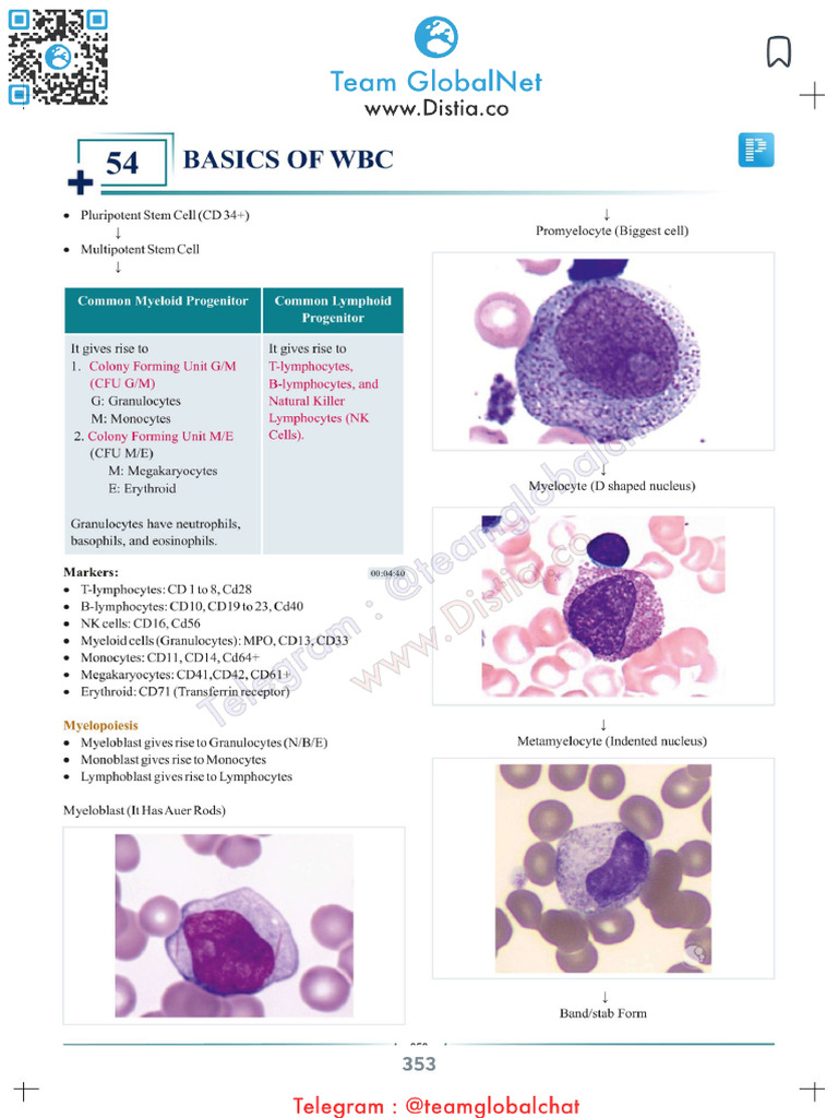19 WBC | PDF