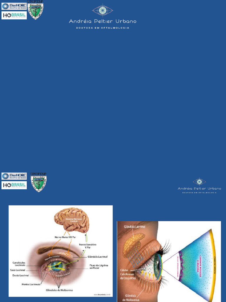 Aula Exames Olho Seco | PDF | Interferometry | Cornea