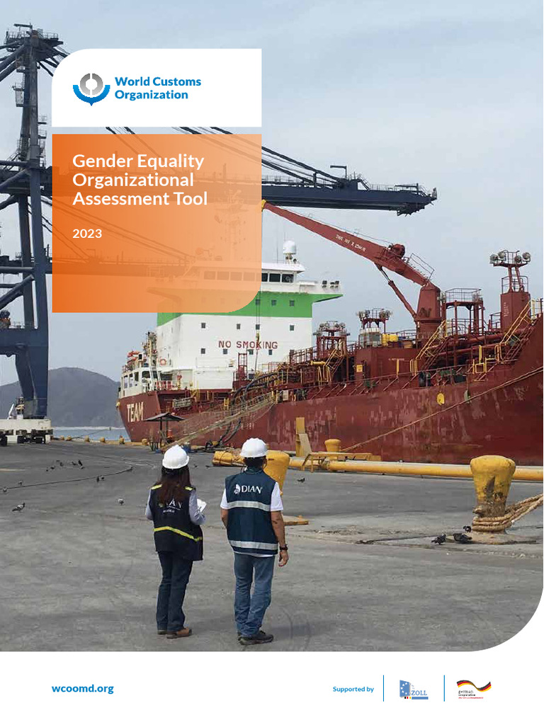GEOAT WCO Gender Equality Assessment Tool | PDF | Violence Against ...