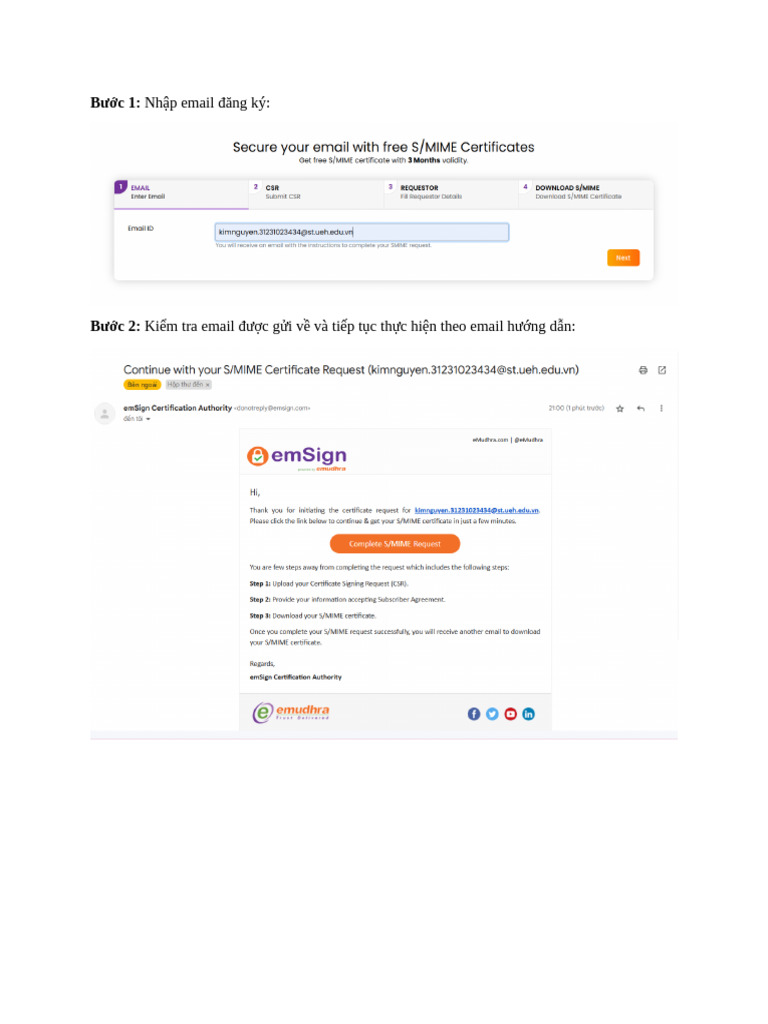 BT Emsign | PDF