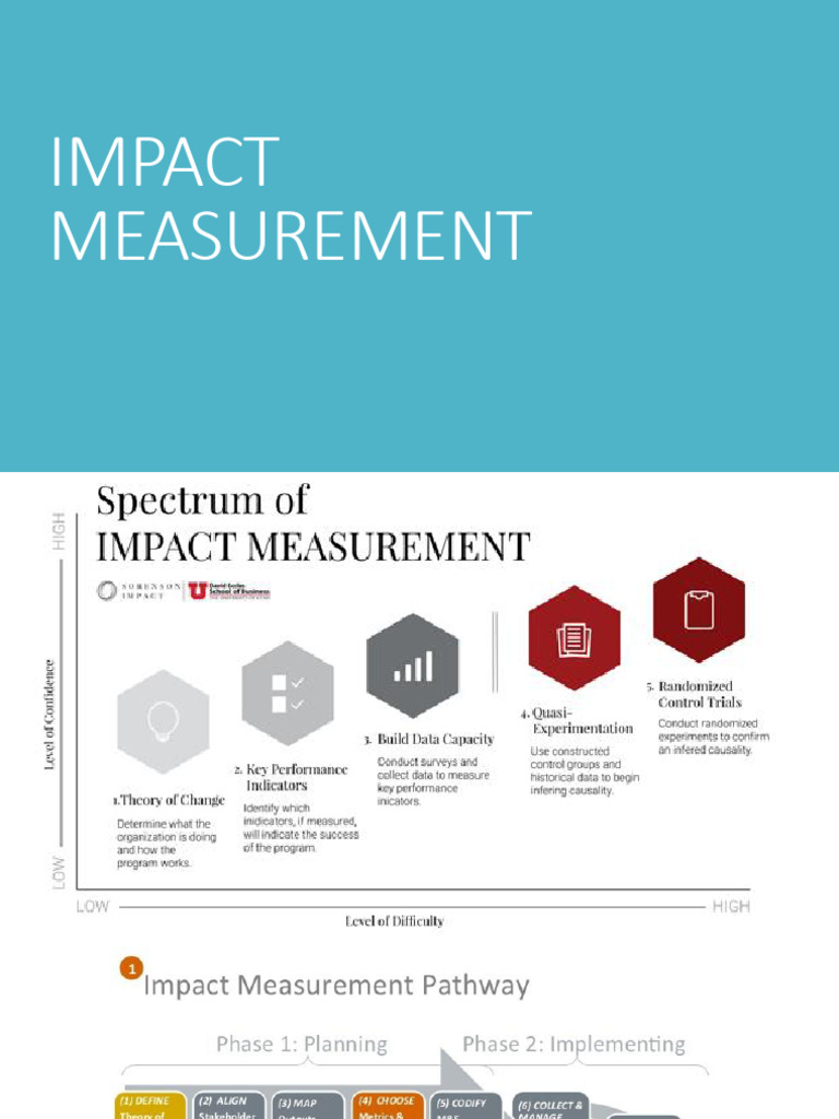 Impact Measurement | PDF