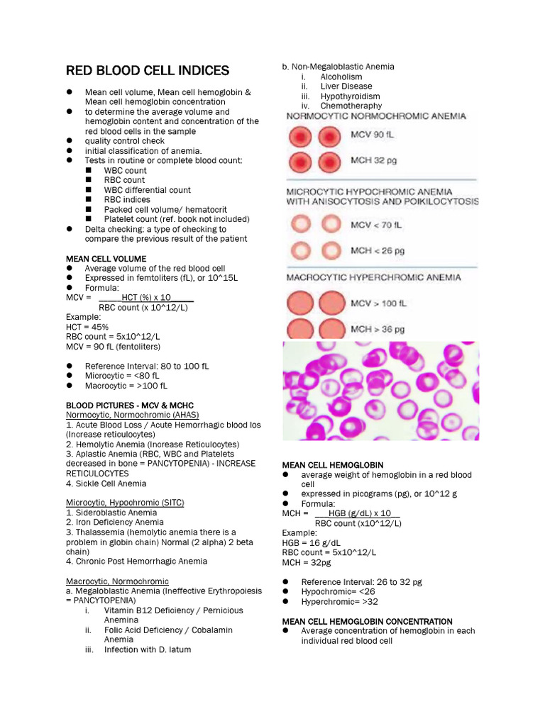 Hematology Lab Prefinals | PDF | Anemia | Red Blood Cell