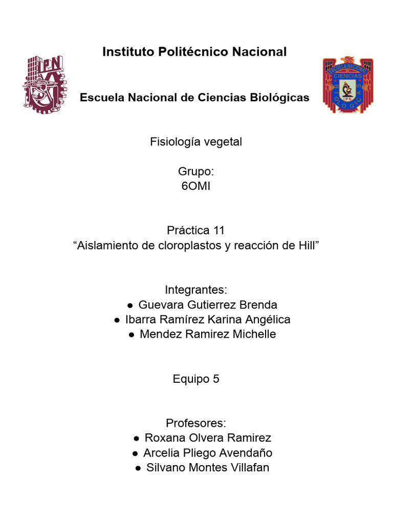 Practica Reaccion de Hill | PDF | Fotosíntesis | Redox