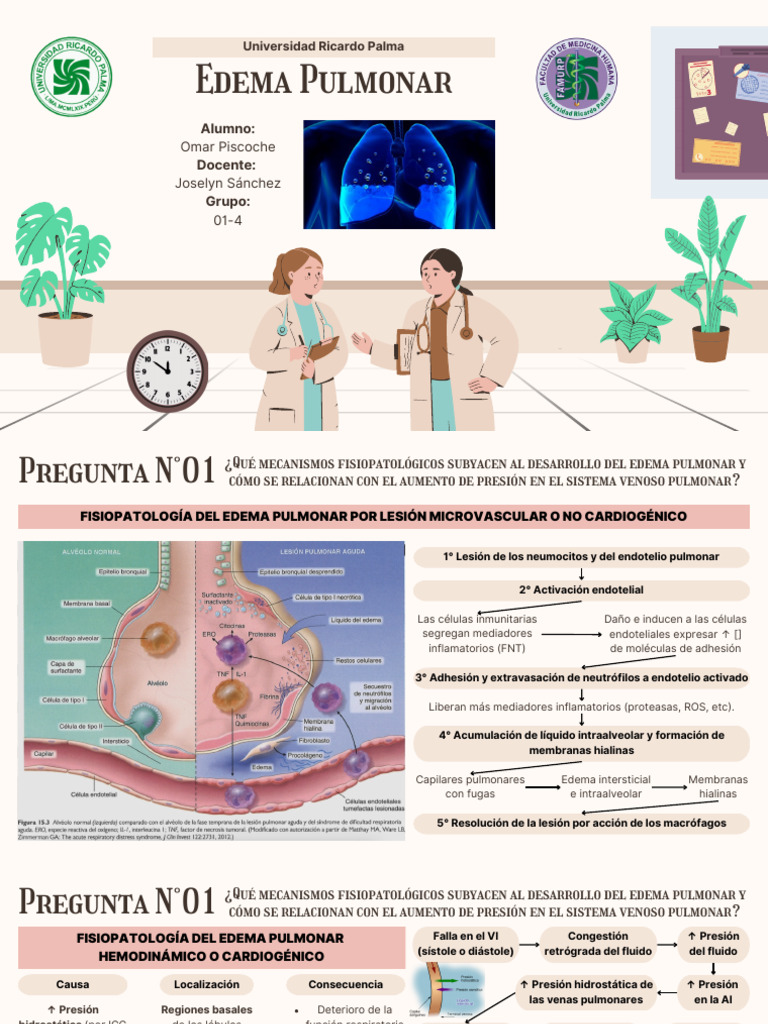 Edema Pulmonar | PDF | Inflamación | Edema