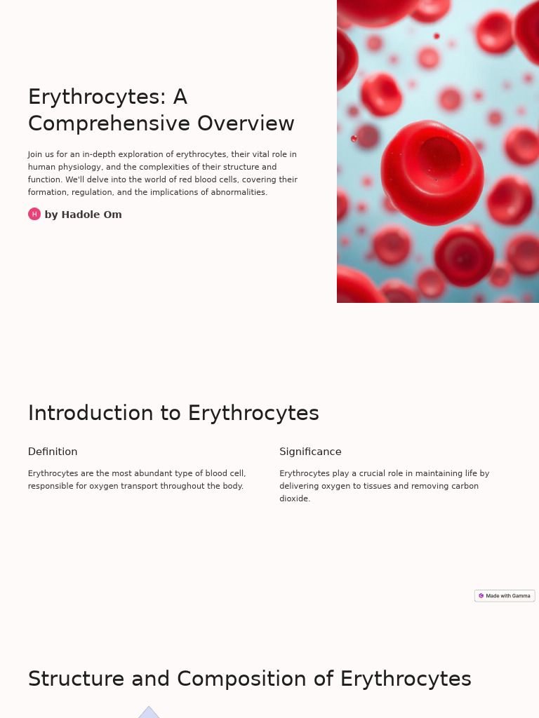 Erythrocytes A Comprehensive Overview | PDF | Red Blood Cell | Hemoglobin