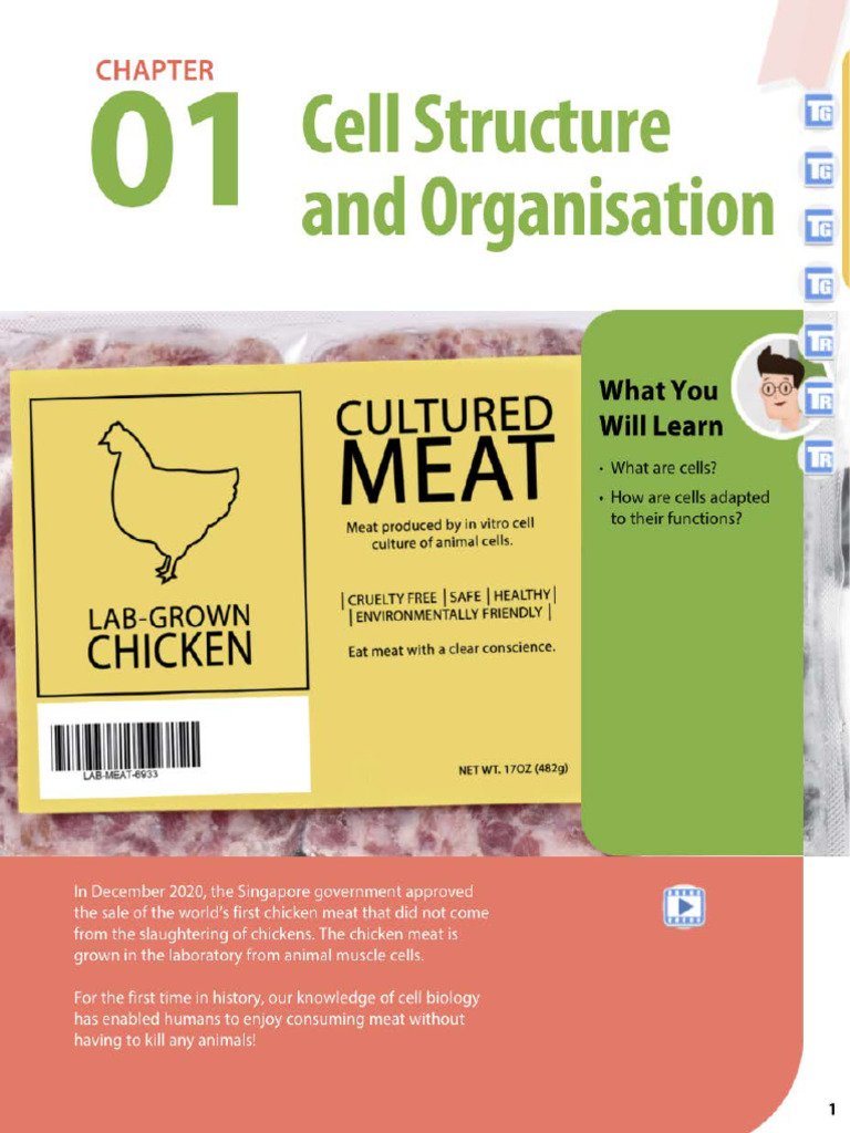 Biology Textbook | PDF