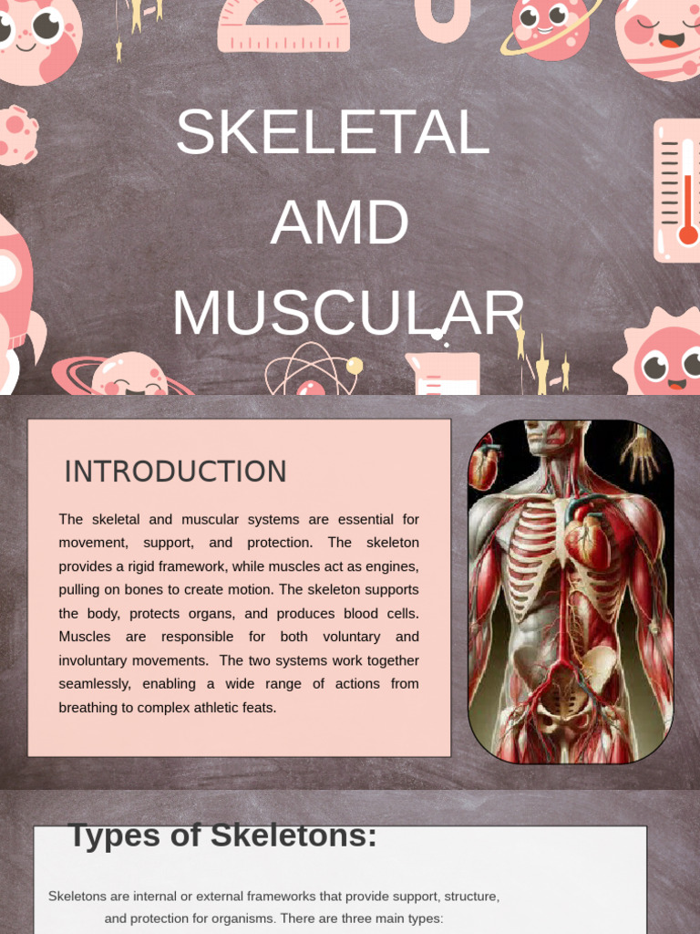 CAMPOS Skeletal&Muscular Systems | PDF | Skeleton | Muscle Contraction