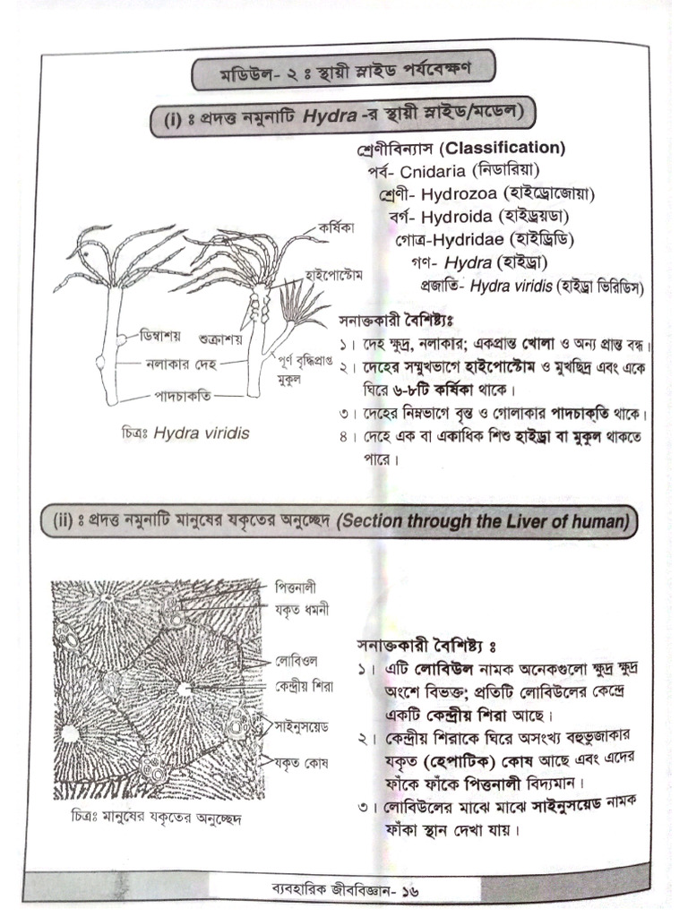 Practical Zoology 2 | PDF
