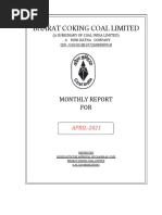 Monthly Report January 2025 | PDF