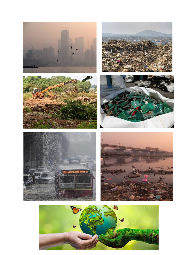 Environmental Problems | PDF