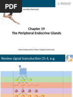 LifeStent Vascular Stent System Brochure (Bard) (BD Interventional ...