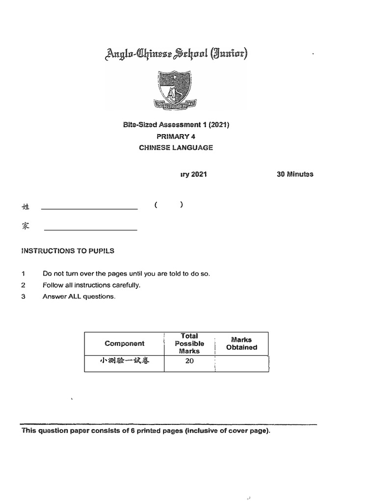 P4 Chinese CA1 2021 ACSJ Exam Papers | PDF