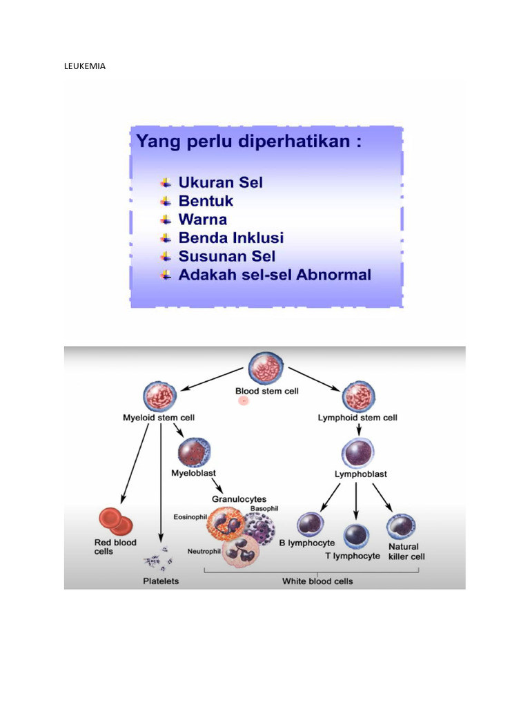 Leukemia | PDF