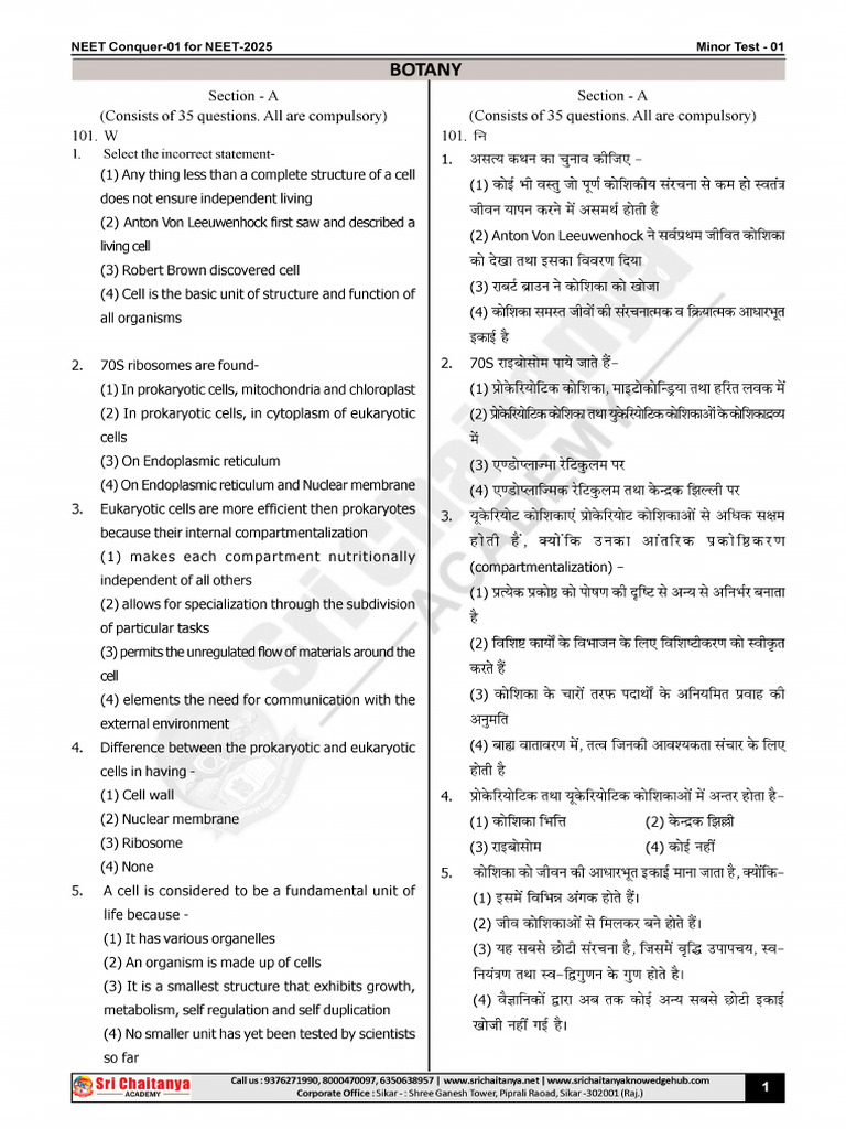 C 01 | PDF