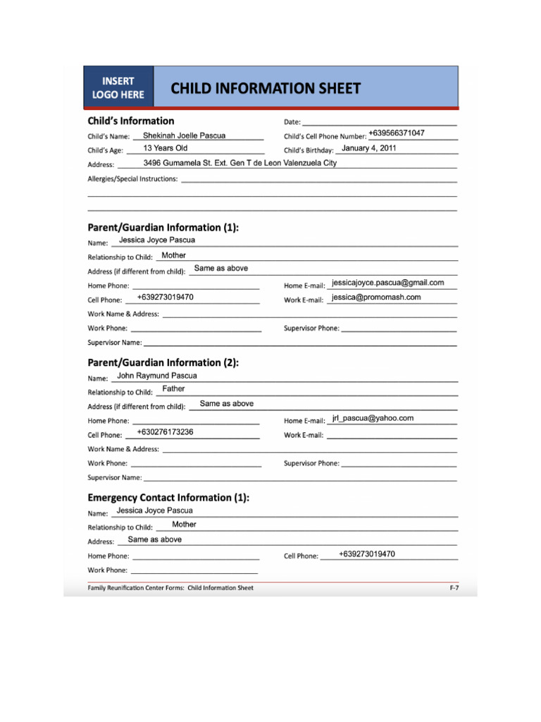 Reunification Plan | PDF