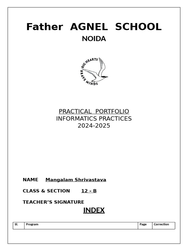 Ip Project protofolio | PDF | Computer Data | Data Management Software