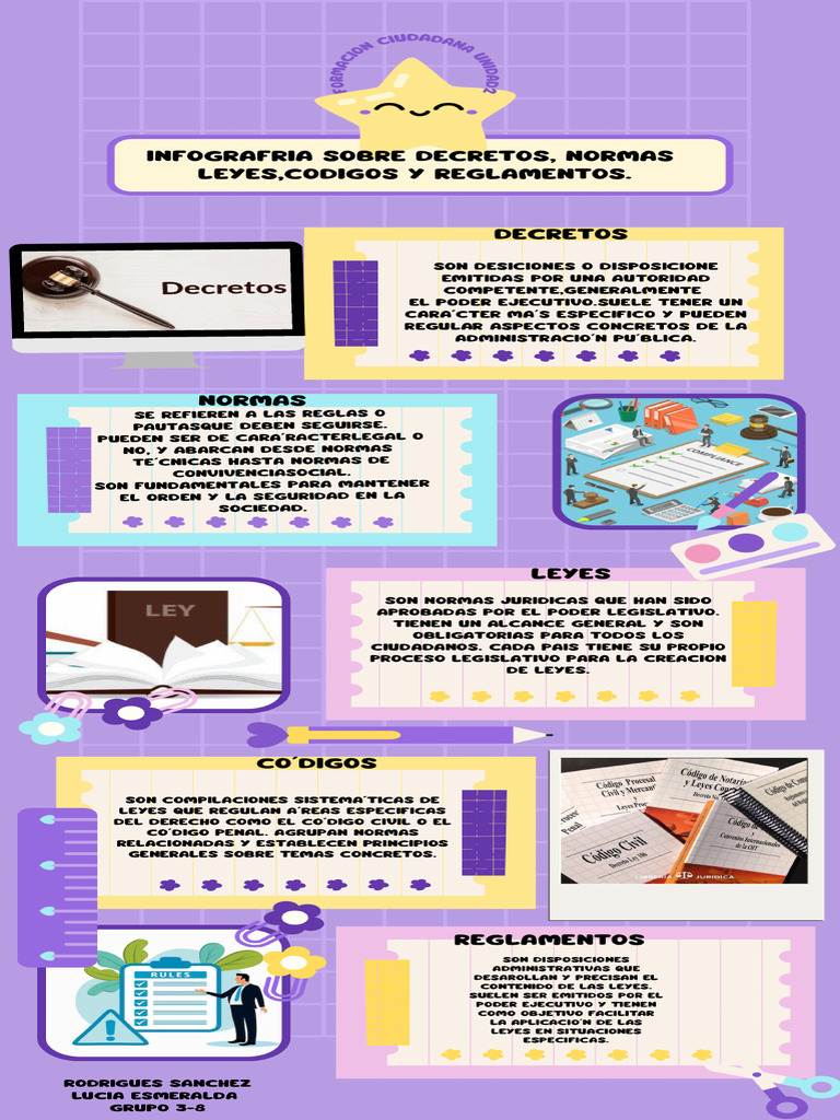 Infografía Sobre Decretos, Normas, Leyes, Códigos y Reglamentos | PDF