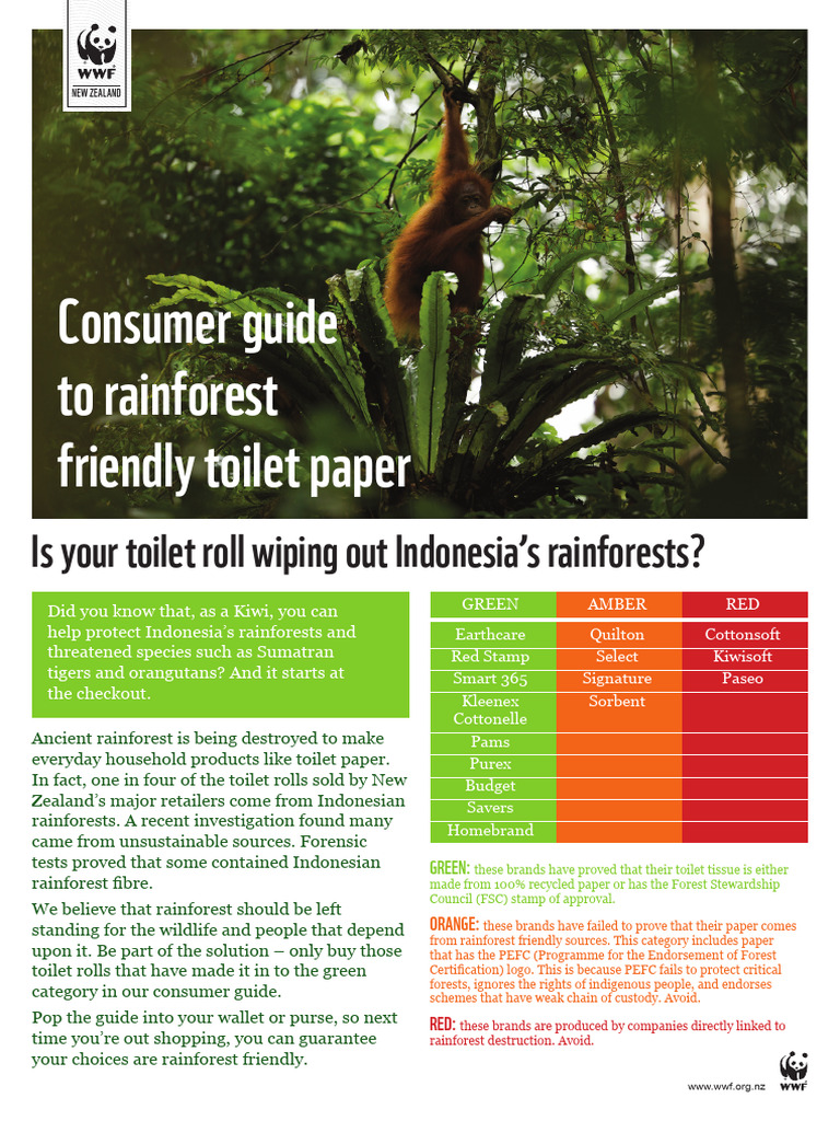 Toilet Paper Guide A4 Aug 2011 1 | PDF | Stationery | Paper