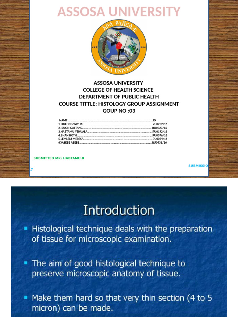 Histology Group Assignment | PDF