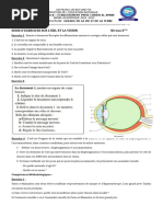 Devoir SVT 3e | PDF